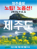 청주공항출발 제주도 패키지 11월 12월 대전 세종시 천안 공주 안성 청주출발 제주도 고품격 패키지여행 2023년 1월 2월 3